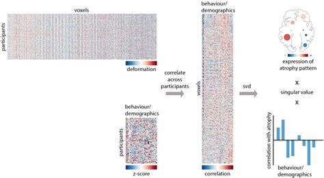 Partial Least Square Pls Analysis Flowchart Download Scientific Diagram