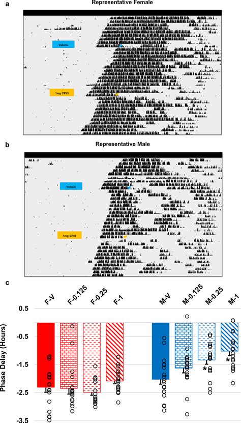 A Cannabinoid Receptor 1 Agonist Reduces Light Induced Phase Delays In