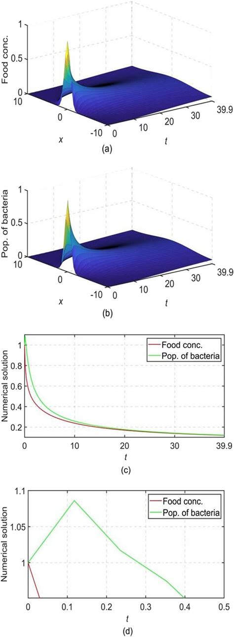 Results For The Chemotaxis Model Using NSFD2 With K 0 4055 And H