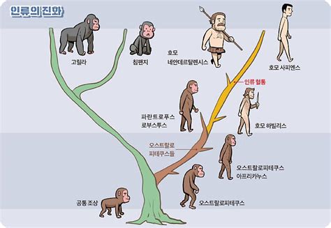 인간 그림의 진화