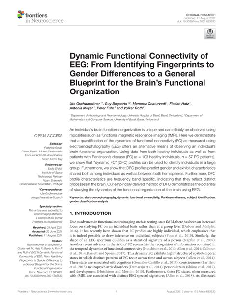 Pdf Dynamic Functional Connectivity Of Eeg From Identifying