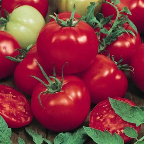 Традиционен български сорт домати Идеал Онлайн магазин