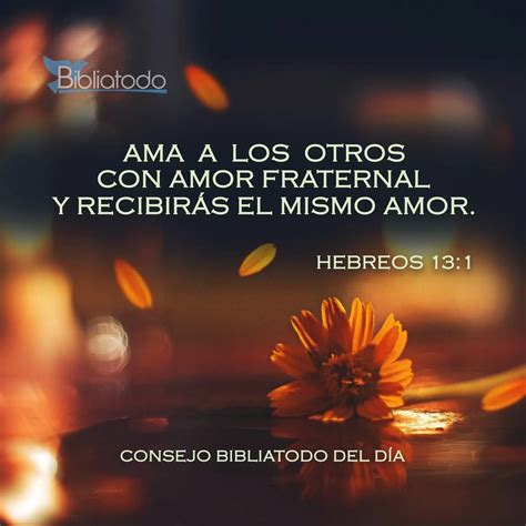 El Amor Fraternal En La Biblia ¡unidad Y Compasión Iglesia Del Pilar