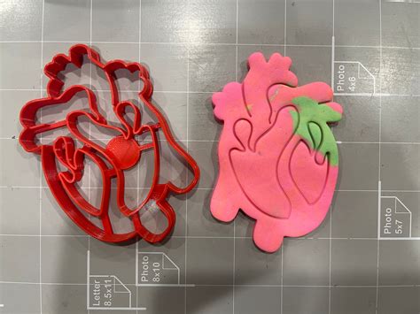 Heart Anatomy Cookie Cutter Arbi Design Cookiecutz