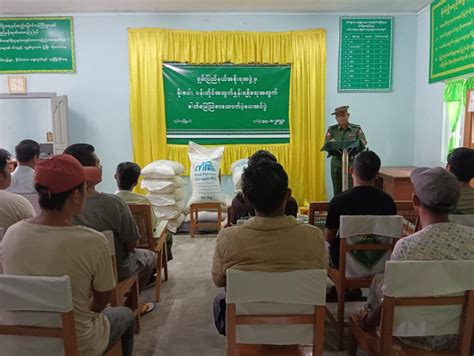 ရှမ်းပြည်နယ်အစိုးရအဖွဲ့မှ ကွမ်းလုံမြို့၌ မိုးစပါးပန်းတိုင်အထွက်နှုန်းရရှိရေး ဓာတ်မြေဩဇာ ထောက