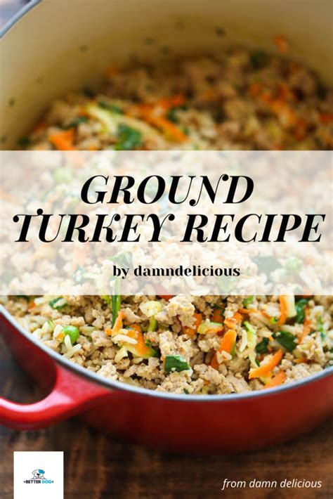 Homemade Dog Food Recipes Better Dog