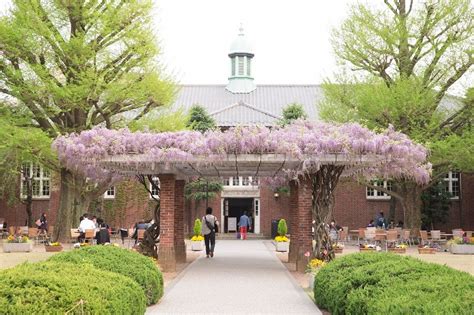 関東の高校生が選んだ「キャンパスがきれいな大学」ランキングno1は立教 2位「青山学院大学 ある女子大講師