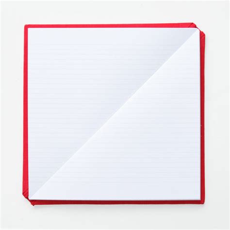 The New Improved Triangle Notebook By Tan Mavitan