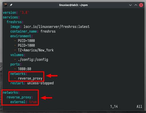 How To Set Up Reverse Proxy With Nginx Proxy Manager Npm