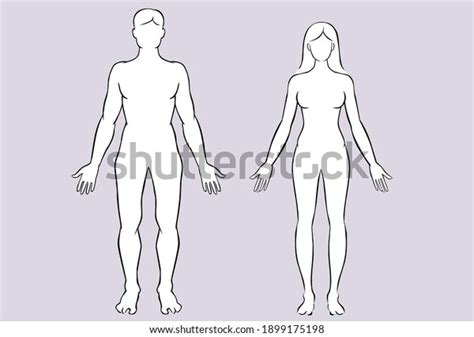 Outline Drawing Human Body Photos Images Pictures Shutterstock