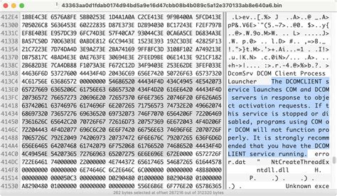Threat Brief Cve 2025 0282 And Cve 2025 0283 Updated March 11