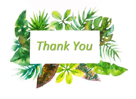 Những Hình Nền Powerpoint Thank You Cảm ơn Dùng Cho Slide Kết Thúc