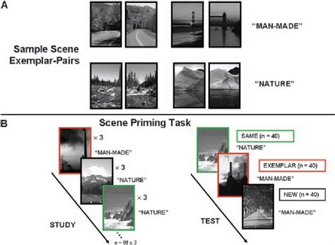 Figure 1 From Hemispheric Asymmetry Of Visual Scene Processing In The