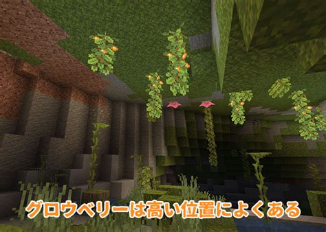 【マイクラ】光る果実グローベリー（グロウベリー）の栽培方法や使い道 マイクラモール