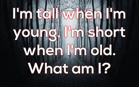 Sexy Brainteasers That Will Stimulate Your Mind And Your Eyes 20 Pics