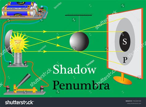 Physical Experiment Study Topic Propagation Light Stock Vector Royalty Free