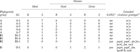 Extraintestinal Pathogenic Escherichia Coli Expec Status And