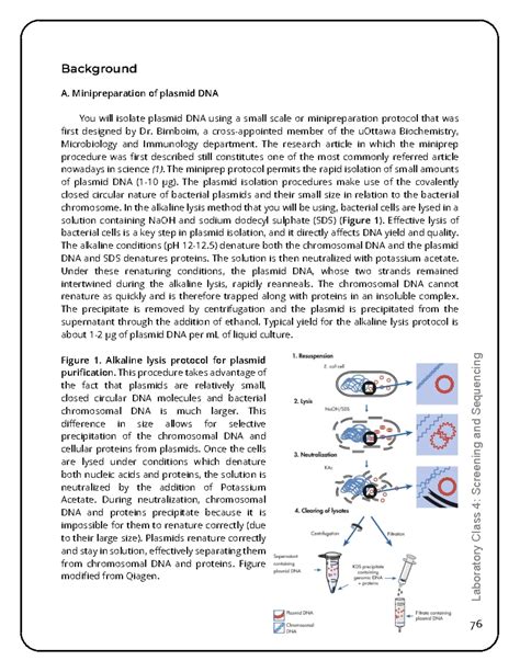 L4 Intro Lab 4 Laboratory Class 4 Screening And Sequencing Background A Minipreparation Of
