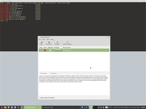 Missing Kernel Update Rlinuxmint