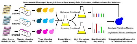 Multi Functional Genome Wide CRISPR System For High Throughput Genotype