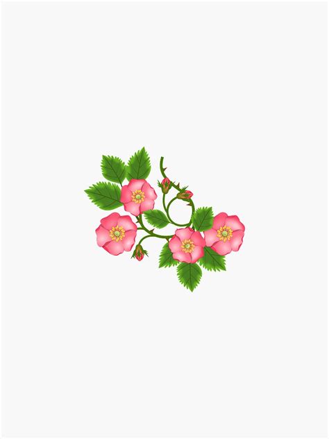 Rose Tendrils Sticker By Moodzz Redbubble