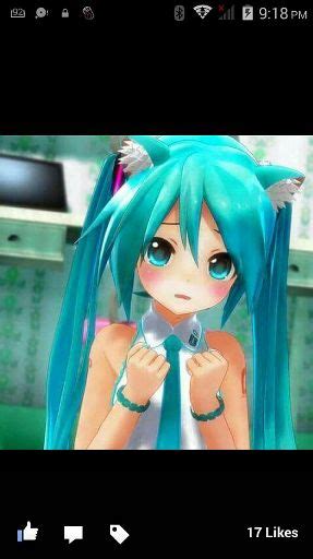 Anime Anime Amino