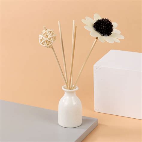 Pengharum Ruangan Unik Cantik Aesthetic Reed Diffuser With Rattan Stick