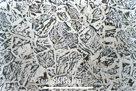 Normalised Carbon Steel Doitpoms University Of Cambridge Flickr