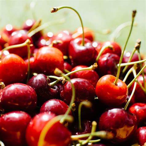Cereza Todas Las Propiedades Y Beneficios Para La Salud