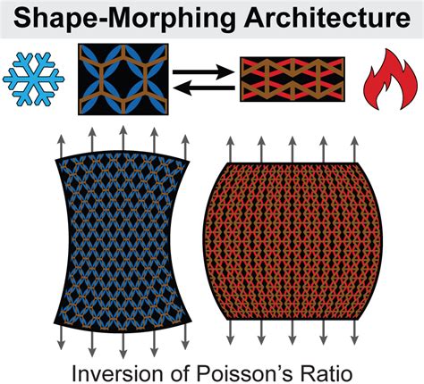 Programmable Auxeticity In Hydrogel Metamaterials Via Shape‐morphing