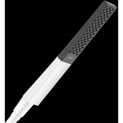 Hansgrohe Rainfinity Rain Handheld Shower Head Wayfair