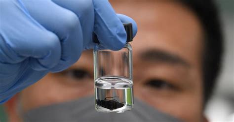 오래된 시신 언제 사망했나 파리 구더기는 알고 있었다