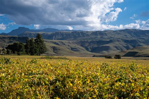 【南アフリカ現地レポート】南アフリカとレソト王国の国境を成す1000kmの大山脈。世界遺産、ドラケンスバーグ山脈に行ってきました