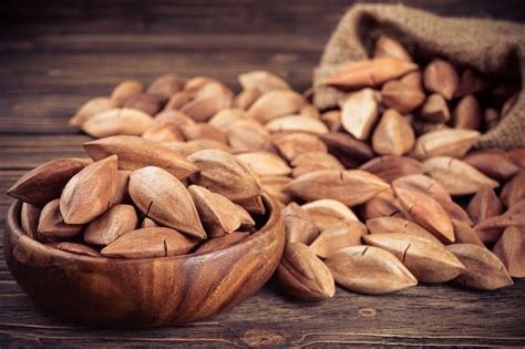 Tout Ce Que Vous Devez Savoir Sur Les Noix De Pili Em Action
