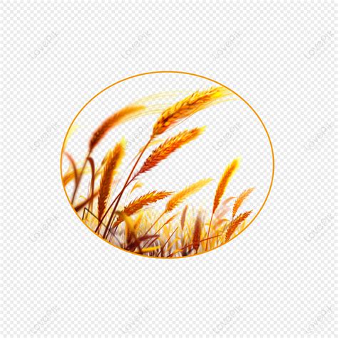 Beautiful Cartoon Border Art Light White Light Orange Orange White