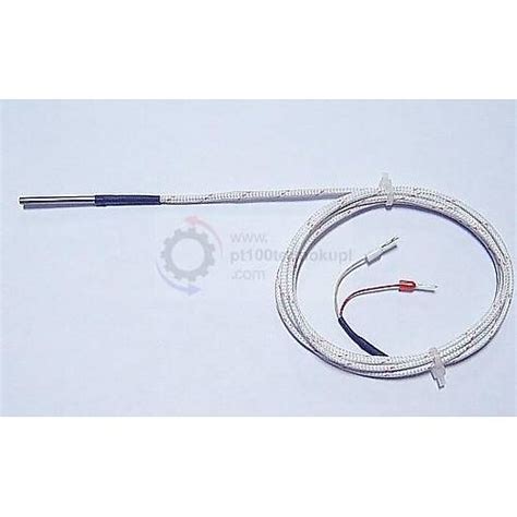 3mm Pt100 Rtd « Pt100Termokupl Mağazası
