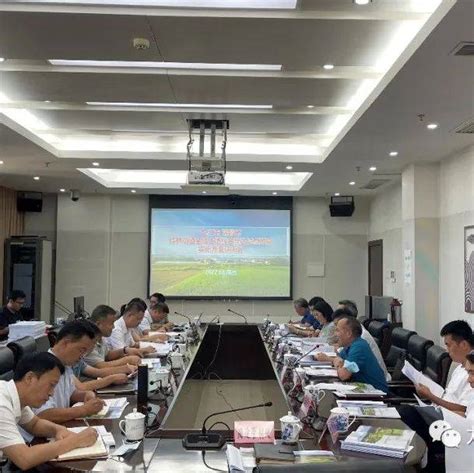 全省率先！桂林街道全域土地综合整治试点项目实施方案通过评审瑞昌市相关桂林街道