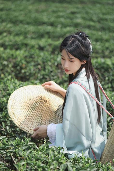 古风茶园汉服采茶女春季春茶人物摄影图