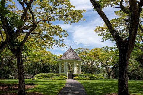 世界遺産シンガポール植物園 行き方見学のしかた 文化遺産見学案内所
