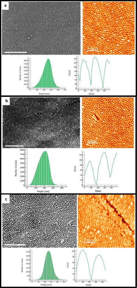 Sem Image Afm Height Histogram Afm Height Cross Section Profile And