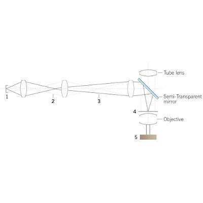 Incident Light Microscopy For Opaque Samples In Industry Education