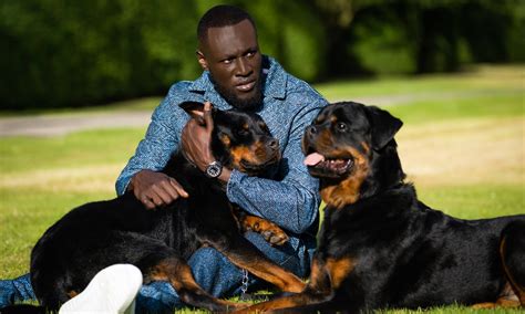 Stormzy Returns With ‘mel Made Me Do It Drops Cameo Filled Video