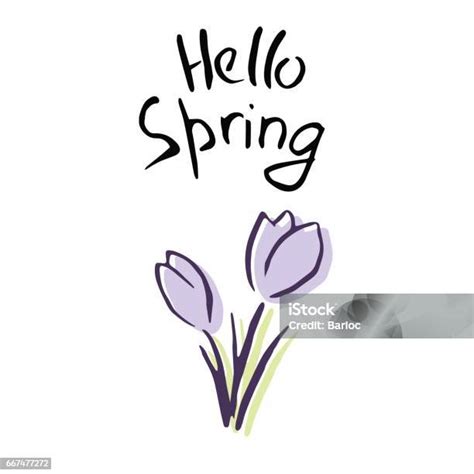 안녕하세요 봄 글자입니다 귀여운 라일락 꽃입니다 스케치 크 로커 스 꽃 나무에 대한 스톡 벡터 아트 및 기타 이미지 꽃 나무 디자인 요소 라벨 Istock