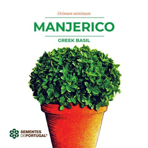 Manjerico Sementes De Portugal