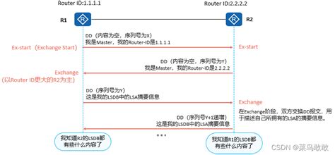 [hcia datacom]ospf基础详解（上篇） ospf交互过程 csdn博客