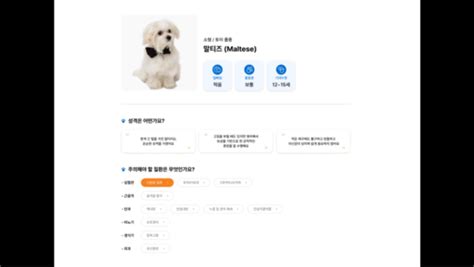 보험·수의업계 손잡았다반려동물 건강관리 가이드라인 마련