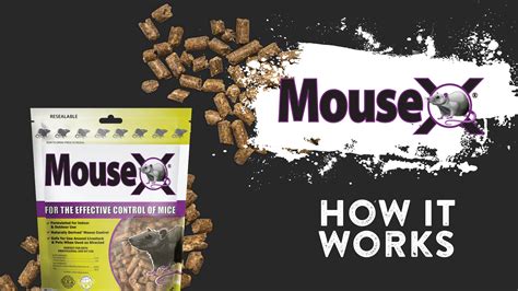 Mousex® Throw Packs For Hard To Reach Areas