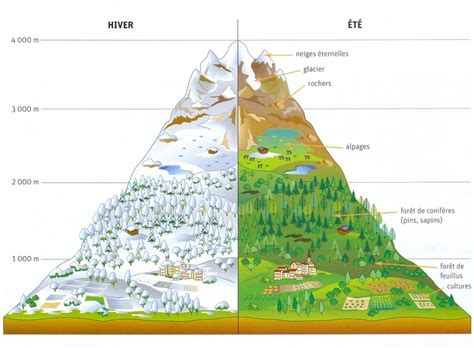 Ce2 Cm1 Cm2 de l École Payen Bacquet Pelves Les Montagnes