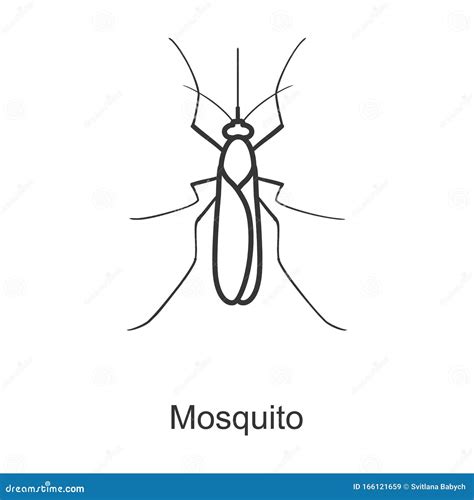 Mosquito Vector Icon Line Vector Icon Isolated On White Background