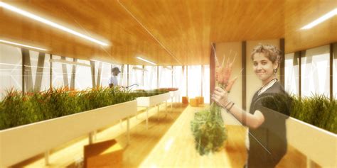 Galería De Agricultura Urbana En Latinoamérica ¿una Opción Real De